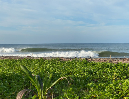 Rio Nexpa, Mexico 21/12/97 – Surf 7 Seas
